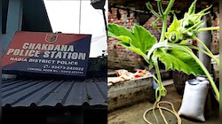 chakdah News in Bengali, Latest chakdah Bangla Khobor, photos, videos ...