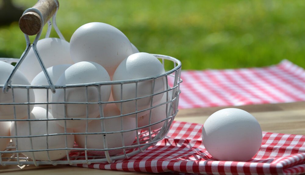 3 Healthiest ways to Eat Eggs