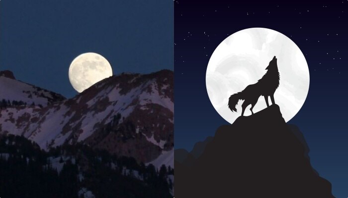 বছর শেষে Wolf Moon-র দেখা, জানেন এর বিশেষত্ব কী? NASA shares stunning ...