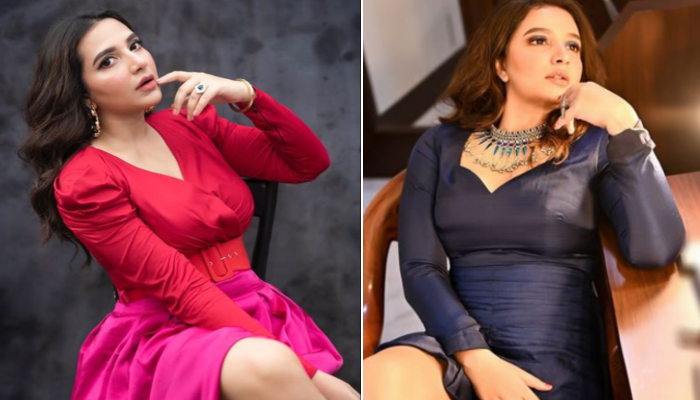 দায়িত্বশীল মা থেকে লাস্যময়ী নায়িকা, Subhashree-র নানা অবতারে মুগ্ধ ...