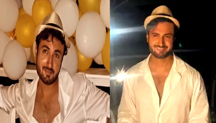 Sean Banerjee: গোয়ায় মধ্যরাতে জন্মদিন উদযাপন শনের, শুভেচ্ছা ফ্যানেদের ...