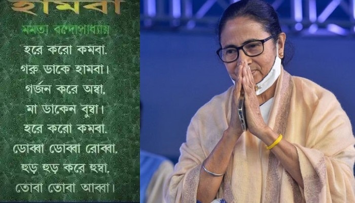 Mamata Banerjee: বাচ্চাদের জন্য কিছু করলে, বাচ্চা সাজতে হবে, মনটাকে ...