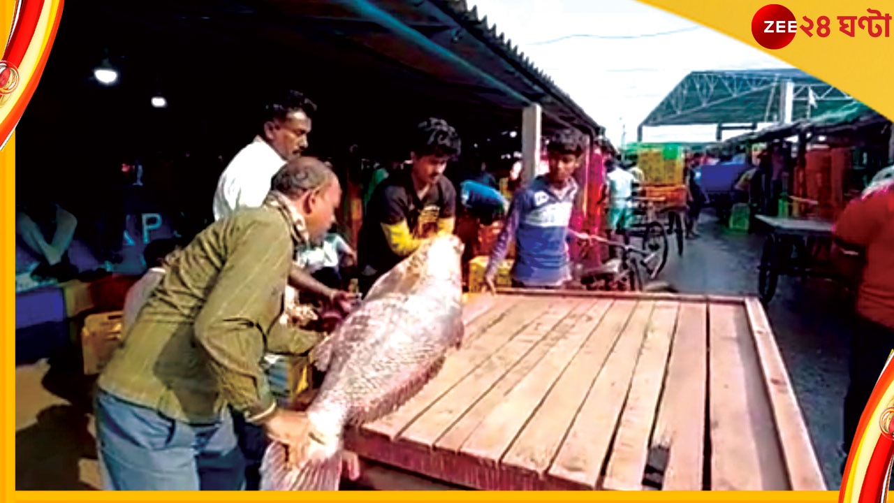 Telia Bhola Fish: দীঘা মোহনায় জালে পড়ল বিশাল তেলিয়া ভোলা, দাম শুনলে ...