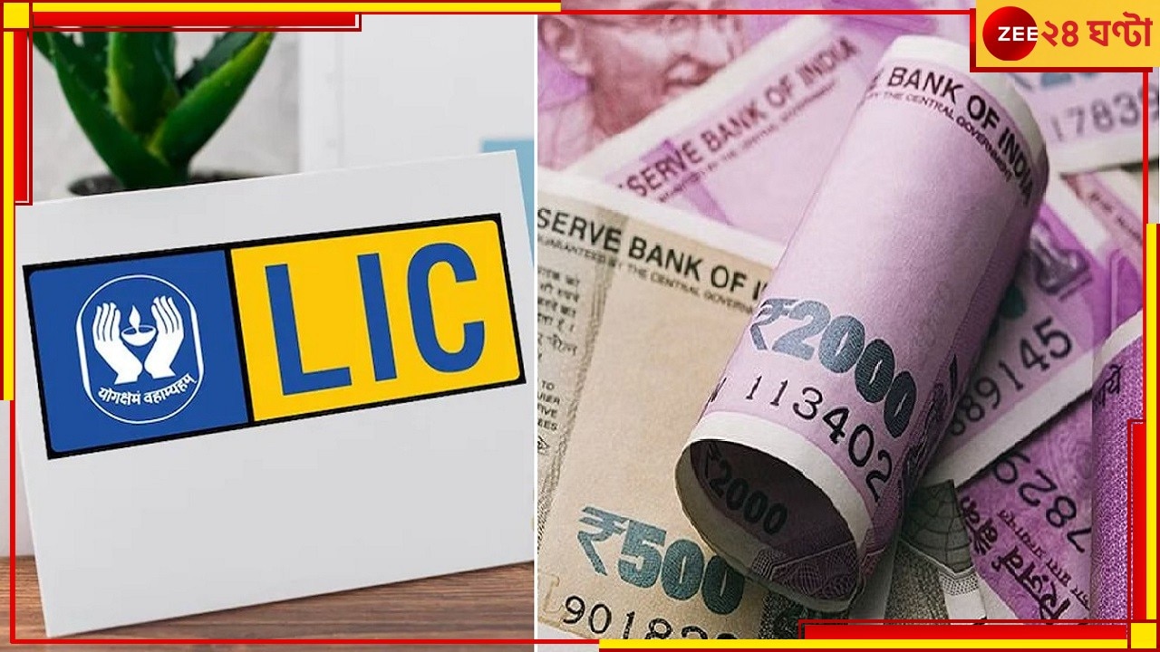 LIC Scheme Invest Rs 71 and get Rs 48.5 lakh in return in THIS policy ...