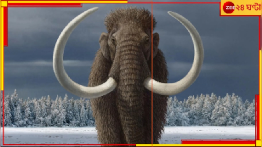 Mammoths Back: পাহাড়ের মতো দেখতে দানবাকৃতি ভয়ংকর সেই ম্যামথেরা ফিরছে ...