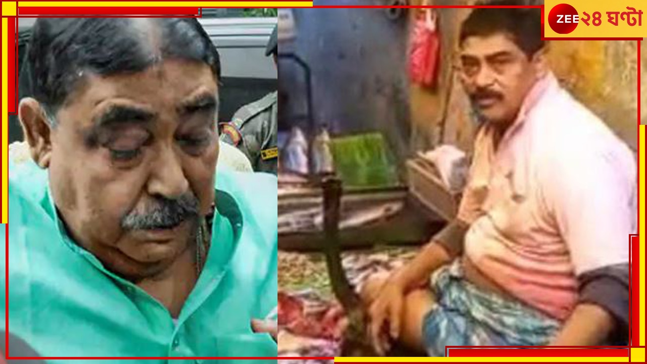 Anubrata Mandol: শেওড়াফুলি বাজারে মাছ বিক্রি করছেন 'অনুব্রত'! ভাইরাল ...