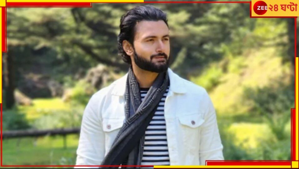 ছোটপর্দা থেকে বিরতি! জনপ্রিয়তার শীর্ষে থেকে কেন এই সিদ্ধান্ত শনের ...