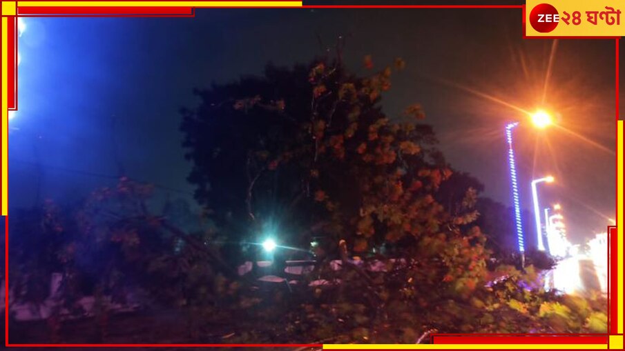 West Bengal Storm: রাজ্যজুড়ে প্রবল দুর্যোগে মৃত ৫, ব্যাহত ট্রেন ও ...