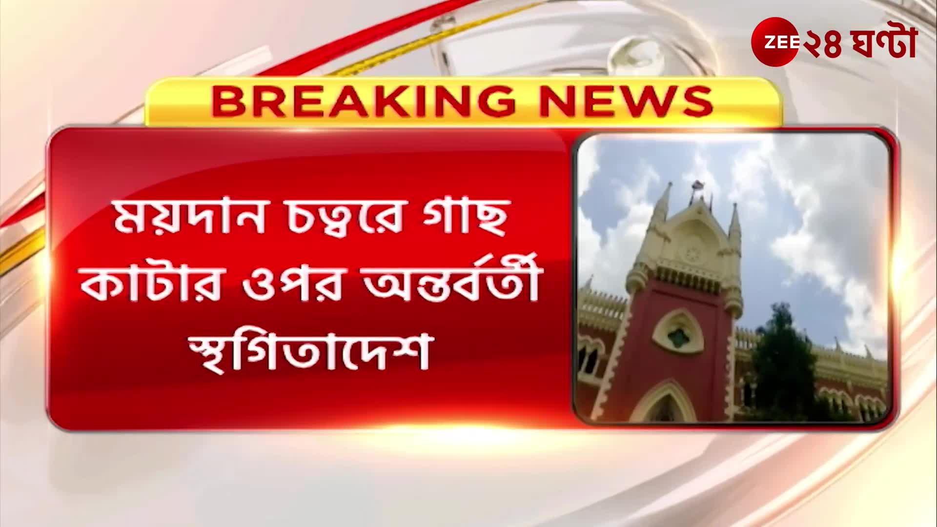 Calcutta High Court: ময়দান চত্বরে গাছ কাটার ওপর হাইকোর্টের অন্তর্বর্তী ...