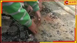 Goghat News in Bengali, Latest Goghat Bangla Khobor, photos, videos ...