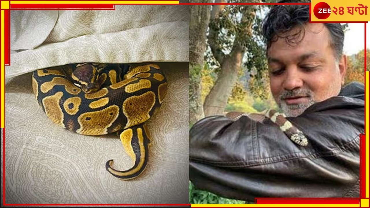 Srijit Mukherji: উলুপীতে মন ভরেনি, বাড়তে বাড়তে ৫! সৃজিতের সাপের সংসার ...
