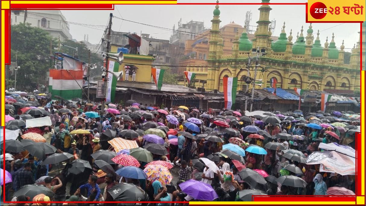 TMC 21 July Shahid Diwas: যেদিকে দুচোখ যায়...বৃষ্টিস্নাত একুশে শুধুই ...