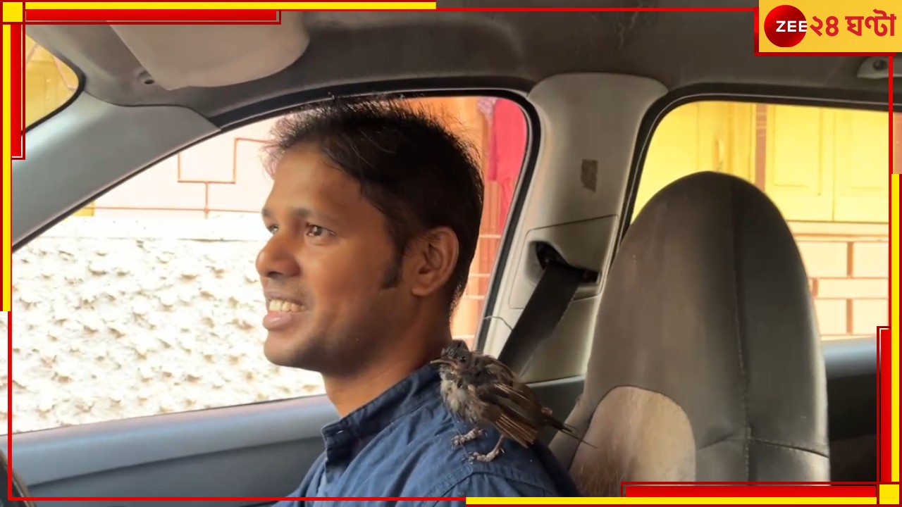 Bird Riding App Cab: সারাদিন অ্যাপ ক্যাবে চেপে ঘুরে বেড়ায় এই পাখি! আর ...