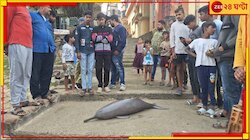 Katwa News in Bengali, Latest Katwa Bangla Khobor, photos, videos | Zee ...