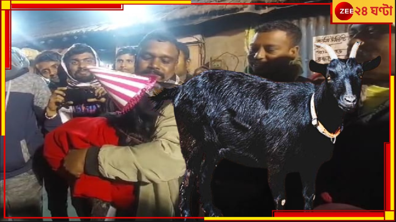 Birthday of Goat: নতুন জামা পরে, মাথায় বার্থডে ক্যাপ এঁটে, কেক 'কাটল' পাঁঠা! 'রাজা'র জন্মদিনে ...