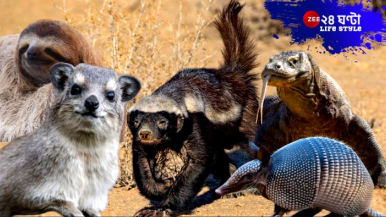 Most Interesting Animal: পৃথিবীতে ঘুরে ফিরে বেড়ায় এই অবিশ্বাস্য ৯ ...