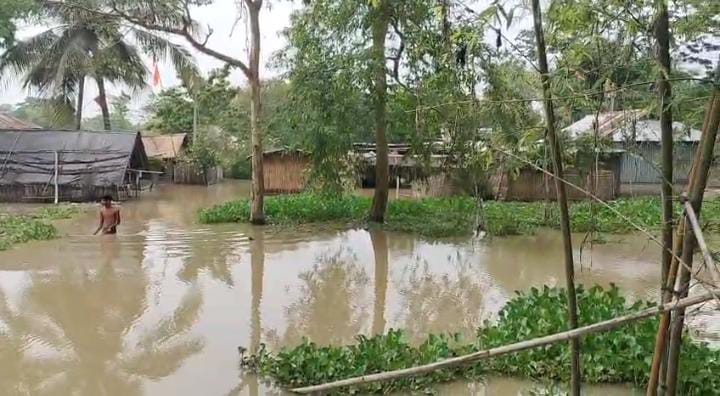 Teesta River Flood: তিস্তার জলে ভেসে যাচ্ছে সব! চেংমারীতে ঘরছাড়া ৫০-৬০টি পরিবার... | Flood ...