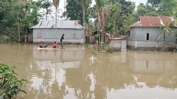 Teesta River Flood: তিস্তার জলে ভেসে যাচ্ছে সব! চেংমারীতে ঘরছাড়া ৫০-৬০টি পরিবার... | Flood ...