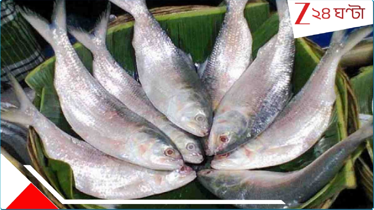 Hilsa: আর কয়েক ঘণ্টা পরেই গভীর সমুদ্রে পাড়ি! এবার কেন ইলিশ নিয়ে ...