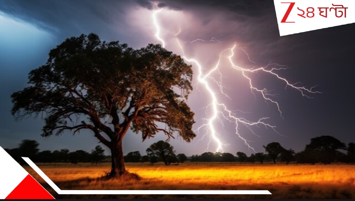 Death By Lightning: মাঠে কাজ করছিলেন, বাজ পড়ে সেখানেই মৃত্যু! এই নিয়ে ৪...।death by lightning ...