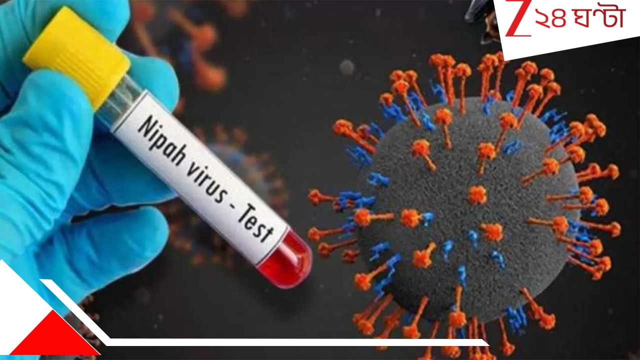 Niph Virus: ছড়াচ্ছে নিপা ভাইরাস, ফের কি ঘরবন্দি দশা, জানুন এই রোগের ...