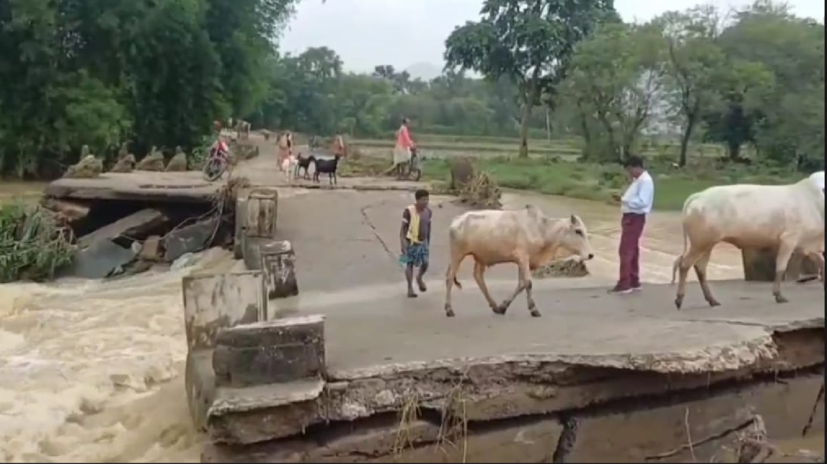 Purulia Heavy Rain Effect: অতি বৃষ্টির জেরে বেড়েছে নদীর জলস্তর! প্লাবিত বিস্তীর্ণ এলাকা! সড়কে ...