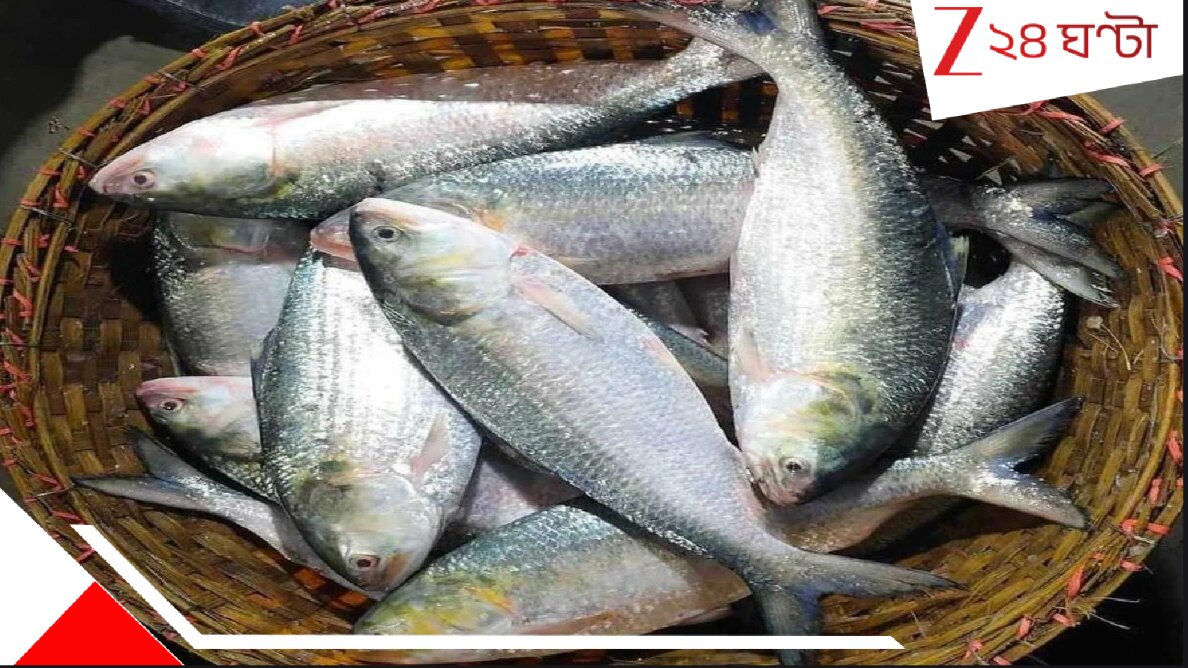 Hilsha in Puja: বাংলাদেশকে পদ্মার ইলিশ পাঠানোর আবেদন ফিশ ইমপোর্টার্স ...