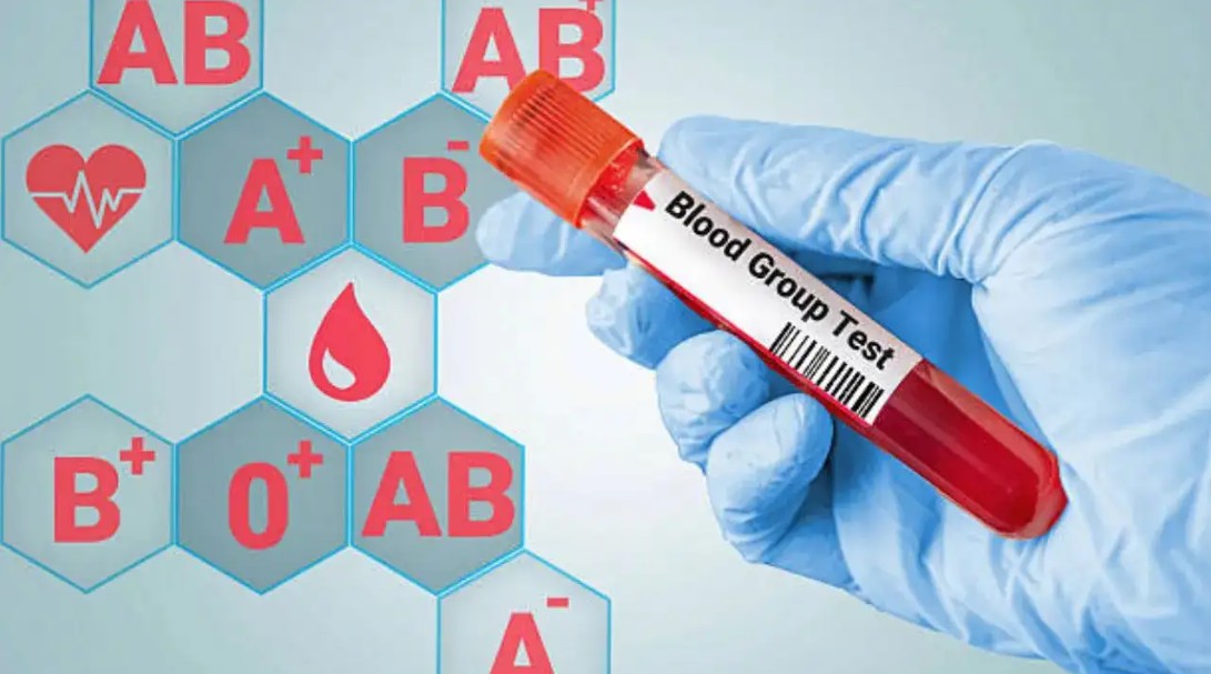 New Blood Group: একদম আনকোরা! ভারতীয় যুবতীর শরীরে মিলল নতুন 'রক্ত ...