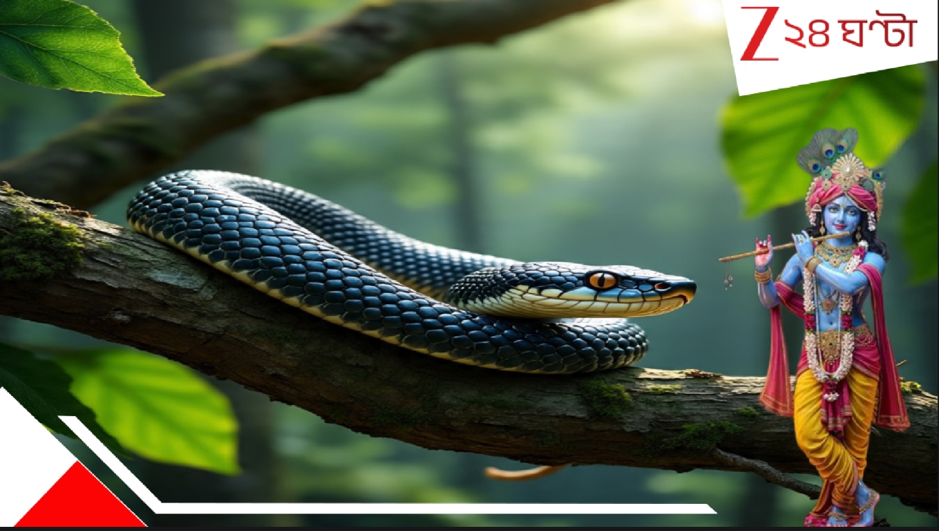 Kaliya Naag: বিশাল সাপ, বহু ফণা! এ যেখানে থাকে সেখানকার জল হয়ে যায় ...