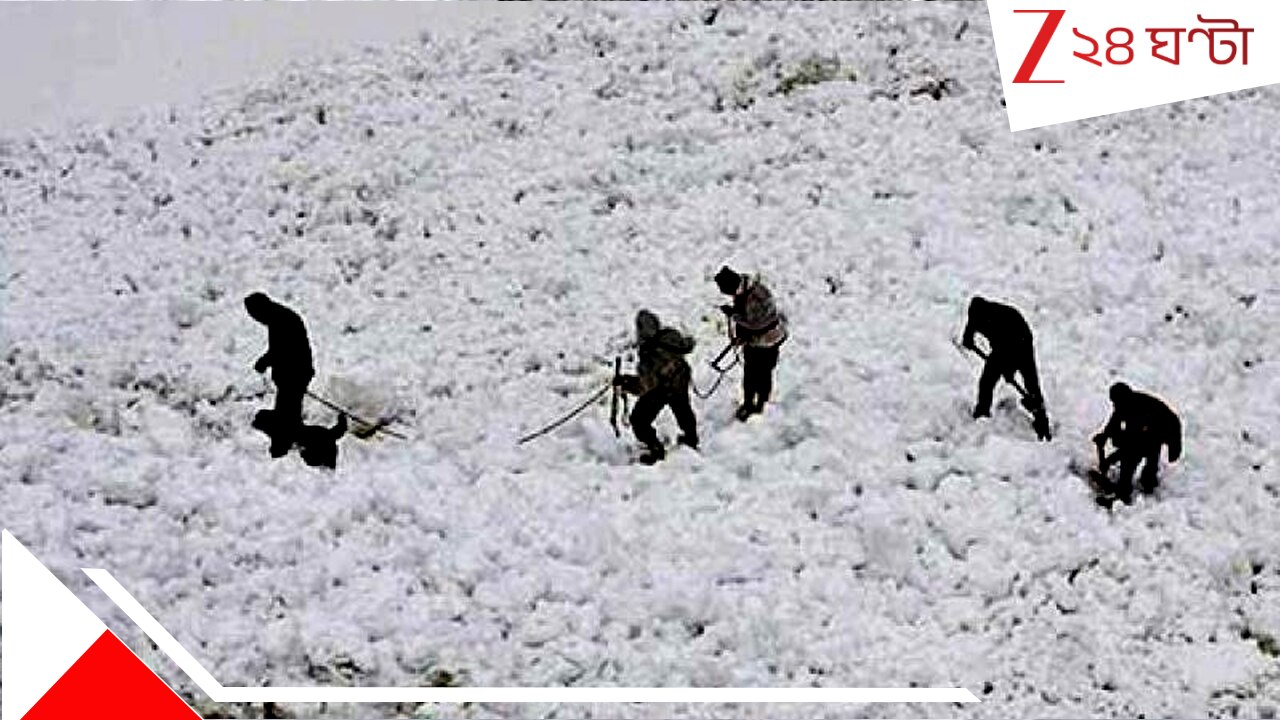 Ladakh Avalanch Kills Jawan: সিয়াচেনে গোটা সেনা ক্যাম্প গিলে নিল তুষার ...