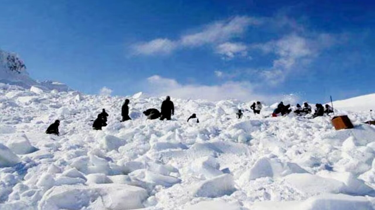 Ladakh Avalanch Kills Jawan: সিয়াচেনে গোটা সেনা ক্যাম্প গিলে নিল তুষার ...