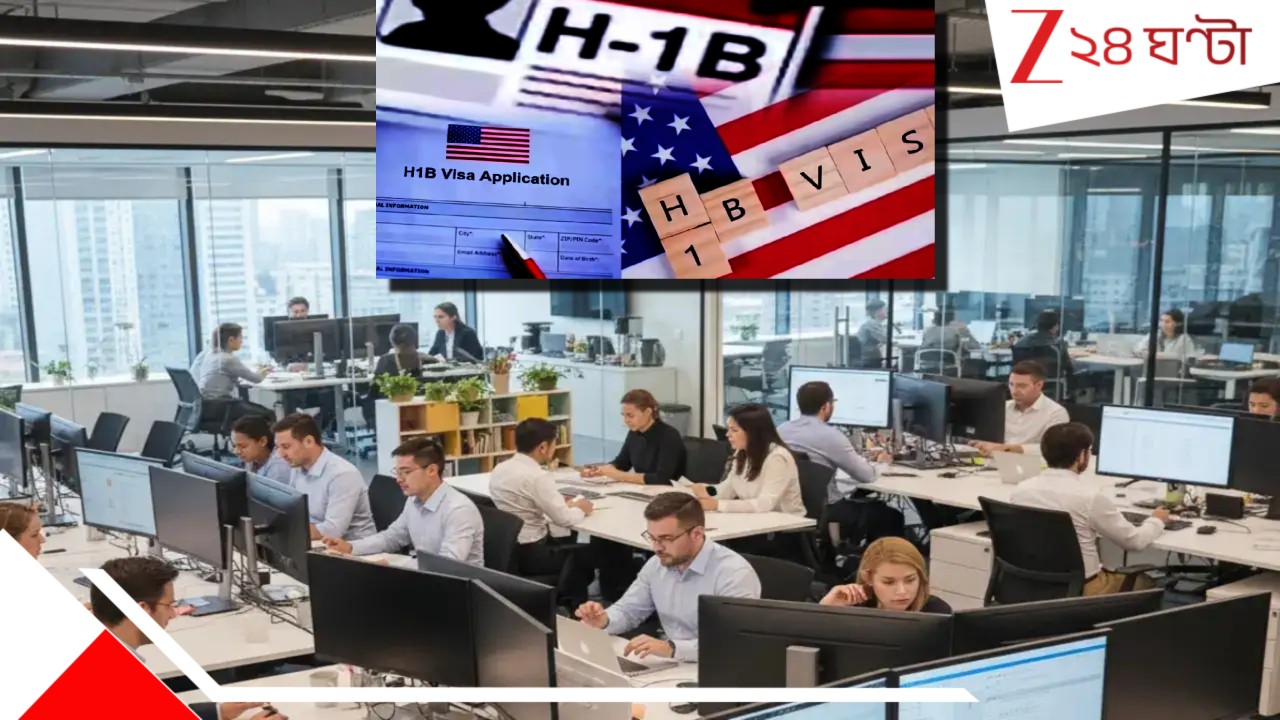 H-1B Visa: শীর্ষে অ্যামাজন, দ্বিতীয় TCS, তালিকায় গুগল-মেটা-মাইক্রোসফট ...