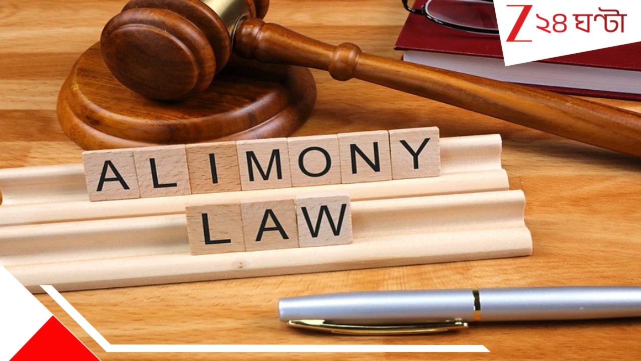 Divorce Alimony: আর্থিকভাবে স্বনির্ভর স্ত্রীকে ডিভোর্সে কোনও খোরপোশ নয় ...