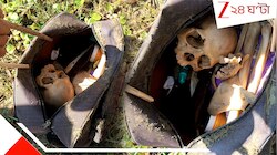 Bongaon News in Bengali, Latest Bongaon Bangla Khobor, photos, videos ...