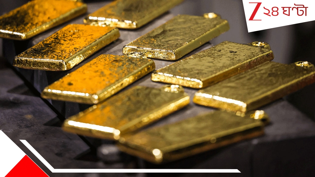 Largest Undersea Gold Deposit: সমুদ্রের গর্ভে বিরল গুপ্তধন! লুকিয়ে ...