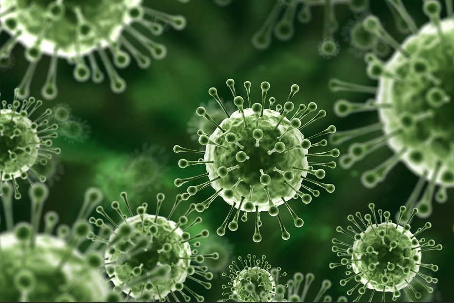Nipah Virus: বাংলায় ভয়ংকর নিপাকে রুখতে কেন্দ্র-রাজ্য জয়েন্ট রেসপন্স ...