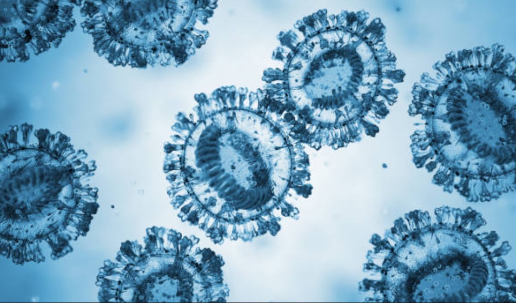 Nipah Virus Outbreak: মস্তিষ্কে শক থেকে শুরু করে... কোন ৫ ভয়ংকর কারণে ...