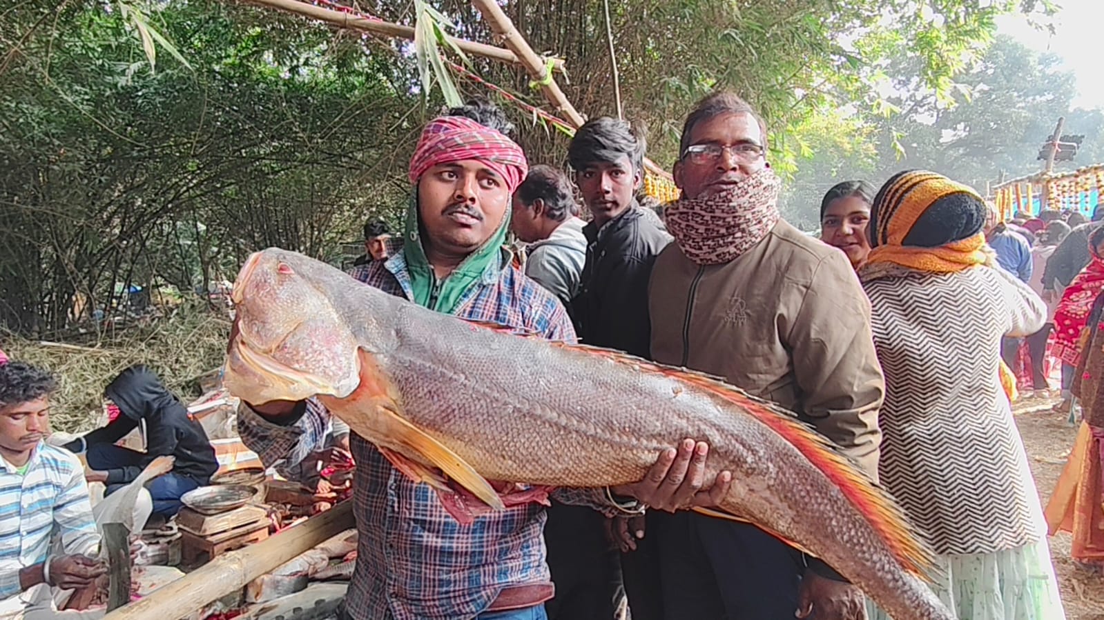 Fish Fair: ৫০ কেজির শংকর! ৩৫ কেজির কাৎলা! ৪০ কেজির ভোলা! ৫ ফুটের বান ...