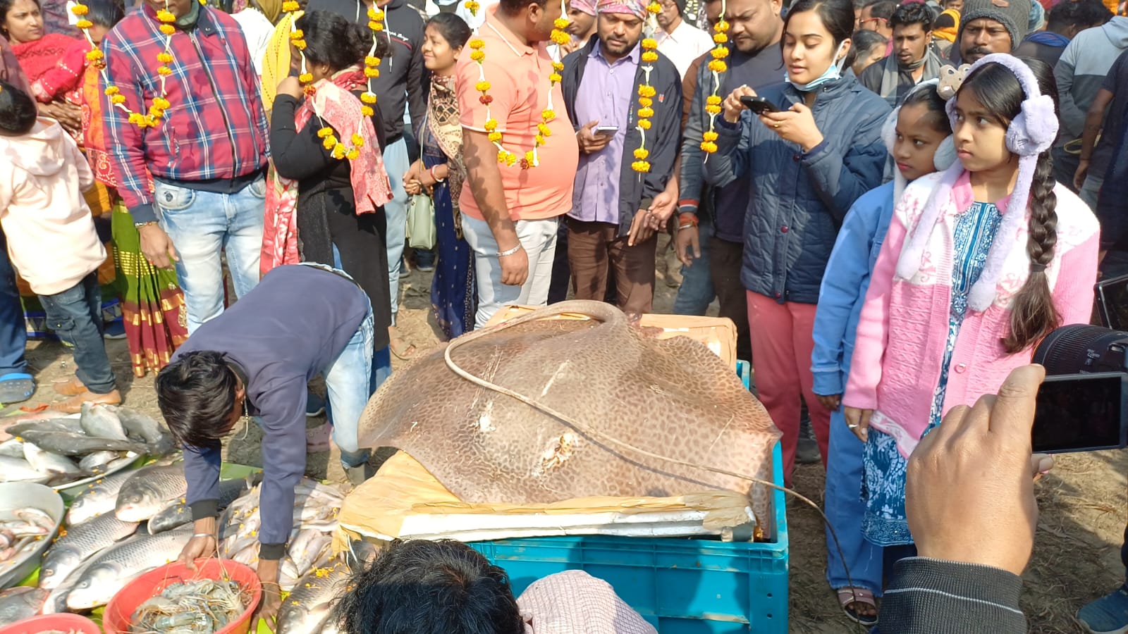 Fish Fair: ৫০ কেজির শংকর! ৩৫ কেজির কাৎলা! ৪০ কেজির ভোলা! ৫ ফুটের বান ...
