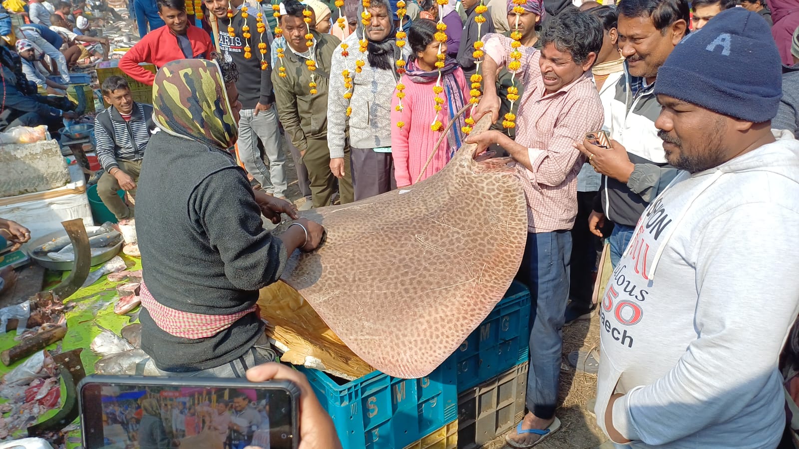 Fish Fair: ৫০ কেজির শংকর! ৩৫ কেজির কাৎলা! ৪০ কেজির ভোলা! ৫ ফুটের বান ...