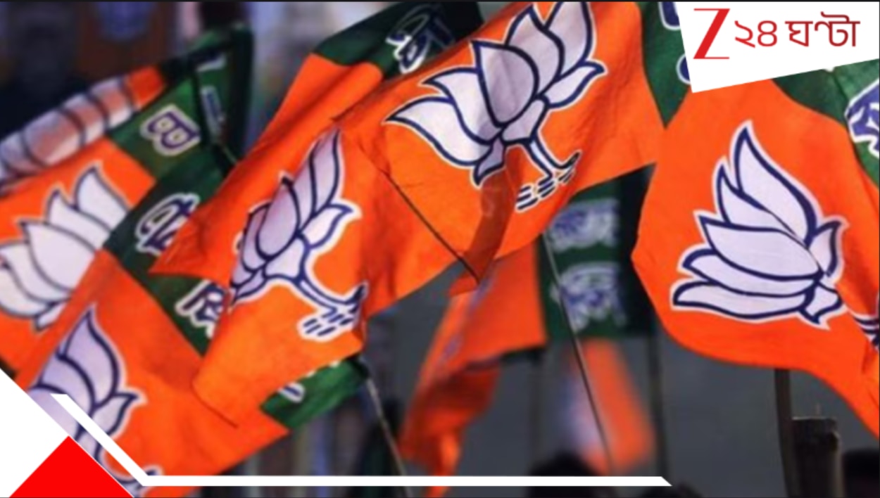 West Bengal Assembly Election 2026: লাল চুল-কানে দুলদের দিয়ে এখন দল ...