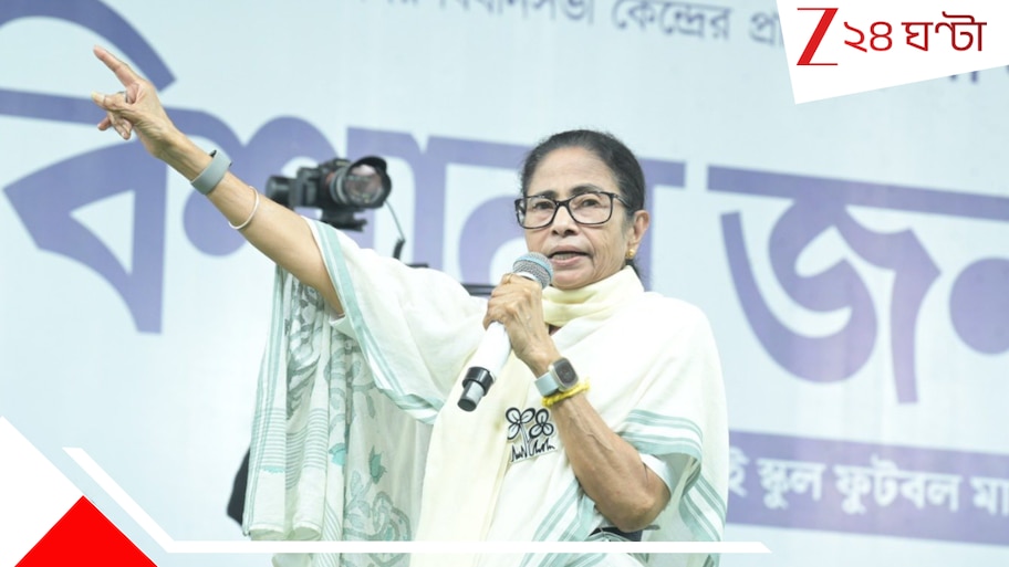 Mamata Banerjee: ভোটের আগে বড় বড় ভাষণ, ১৫ লক্ষ অ্যাকাউন্টে ঢুকেছে ...