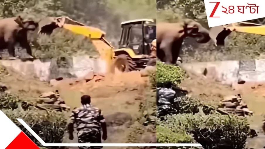 Lone Elephant Blocks JCB: Watch Video- নিজের ঘর বাঁচাকে জেসিবির সঙ্গে ...