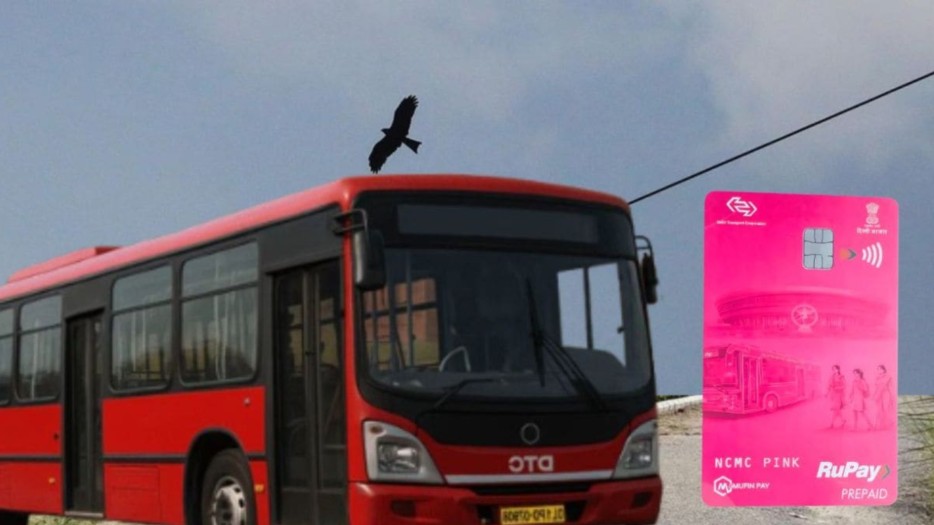 Pink Card for Free Travel: পিংক কার্ড থাকলেই মহিলাদের বাসের টিকিট ফ্রি ...