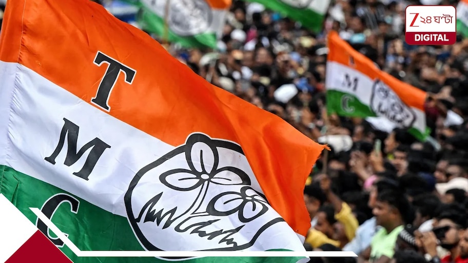 TMC logo: প্রতীকও চুরি! তৃণমূলের ঘাসফুল মমতার নয়, অন্য কারও ডিজাইন ...