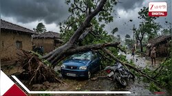 giant Neem tree flying News in Bengali, Latest giant Neem tree flying ...