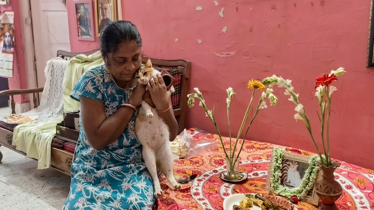 Pet Cat Funeral: কাতলা-পাবদা-গলদা চিংড়ি: কী নেই! ১৩ দিন পর নিয়ম মেনে ...